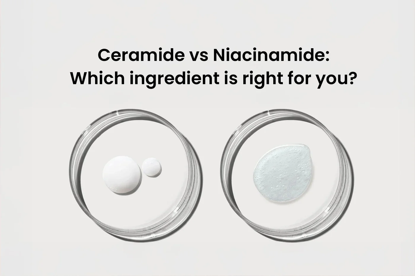 Ceramide vs Niacinamide: Decoding the Better Fit for Your Skin ...